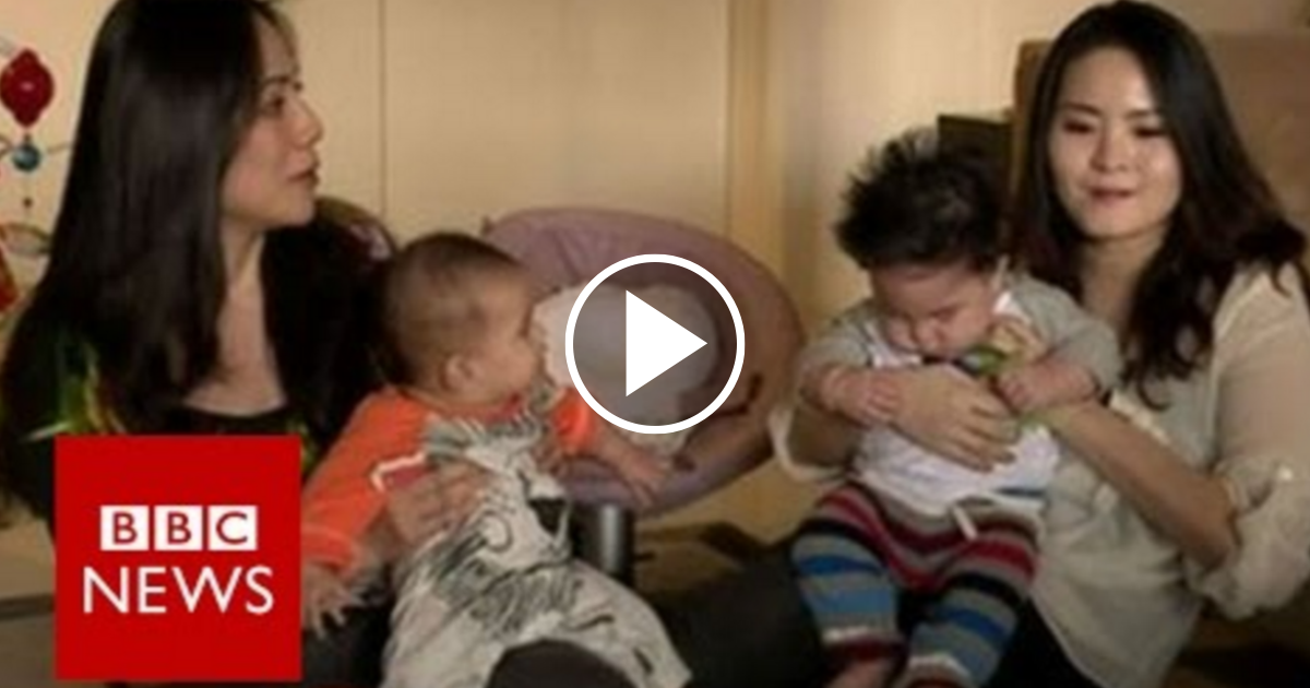 Video 影片 | LalaTai 拉拉台