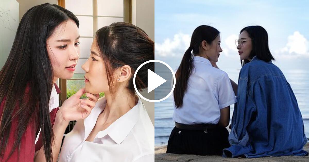 Video 影片 | LalaTai 拉拉台